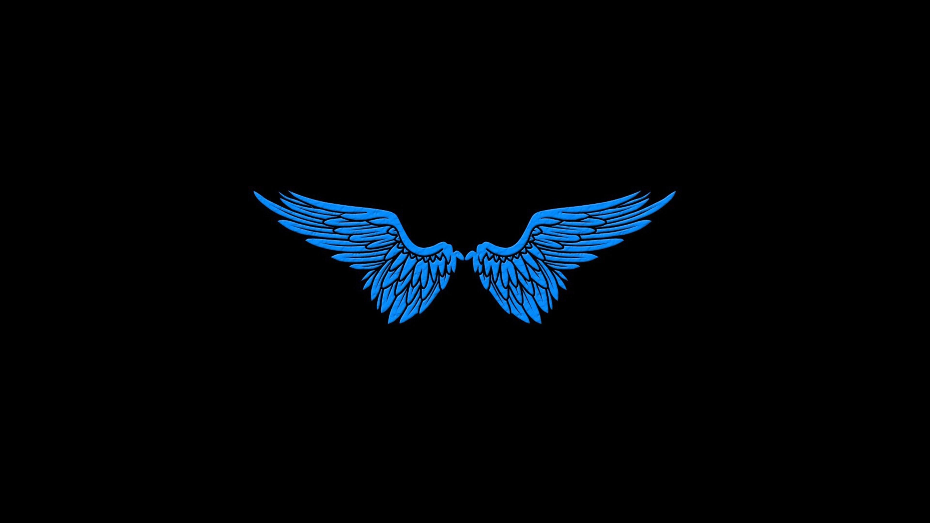 Bird Wings Wallpapers - Top Free Bird Wings Backgrounds - WallpaperAccess