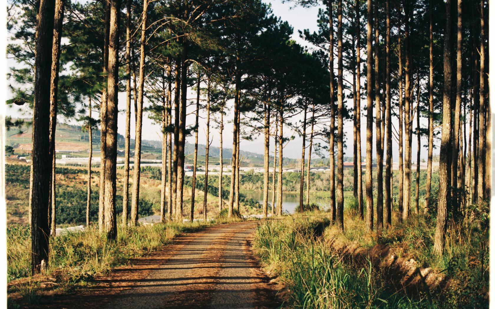 Dalat Wallpapers - Top Free Dalat Backgrounds - WallpaperAccess