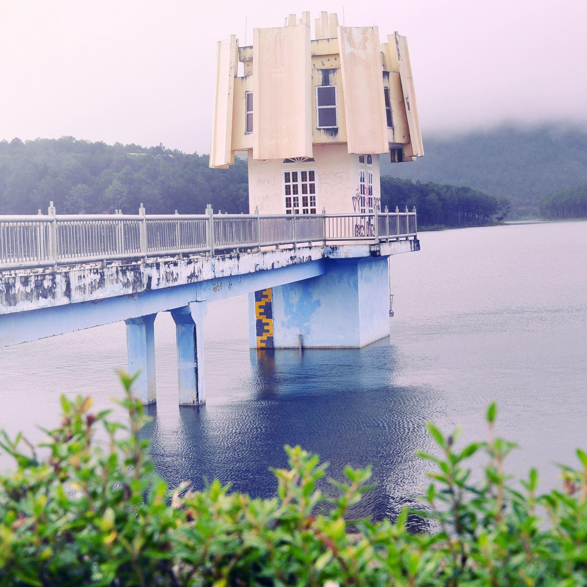 Dalat Wallpapers - Top Free Dalat Backgrounds - WallpaperAccess