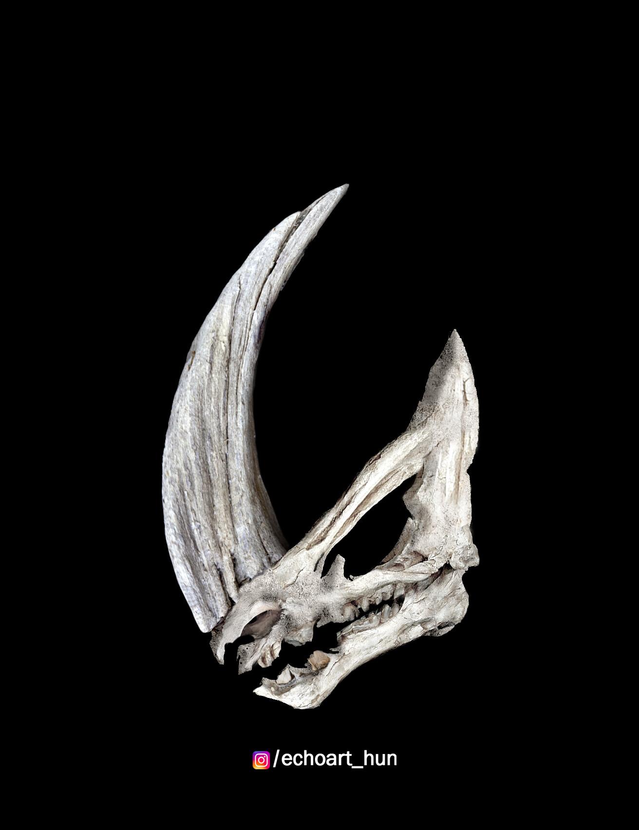 Mudhorn Wallpapers - Top Free Mudhorn Backgrounds - WallpaperAccess