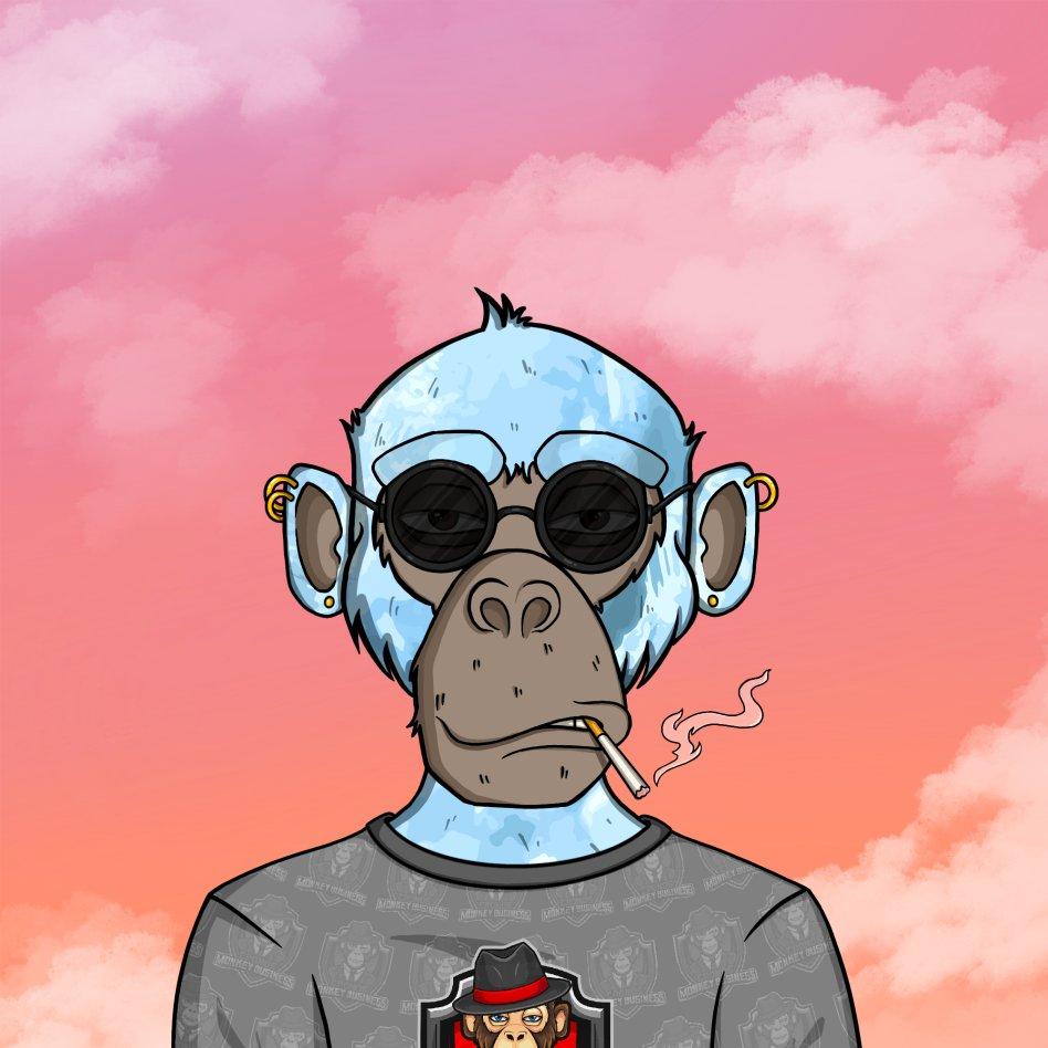 NFT Monkey Wallpapers - Top Free NFT Monkey Backgrounds - WallpaperAccess