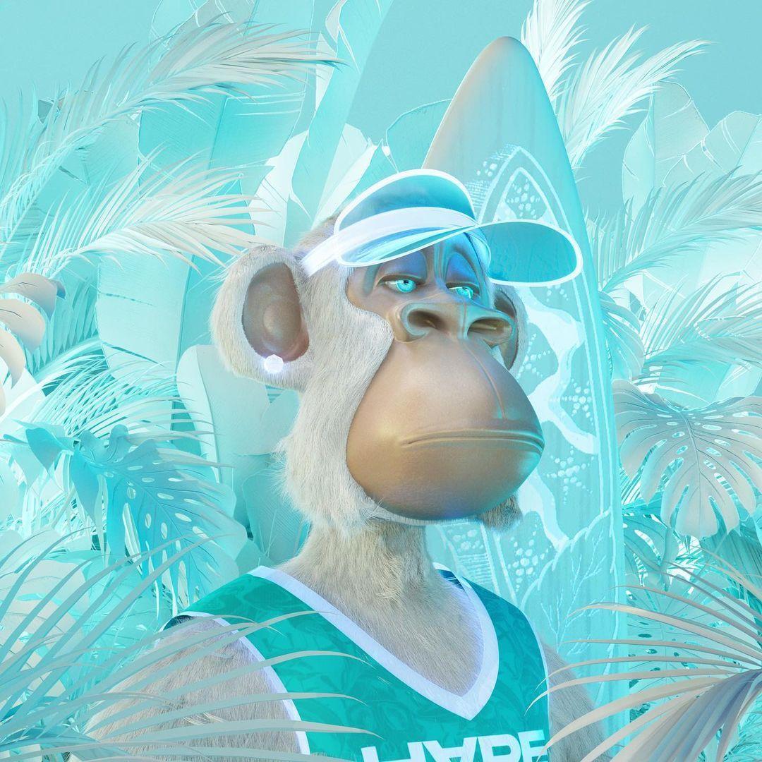 NFT Monkey Wallpapers - Top Free NFT Monkey Backgrounds - WallpaperAccess