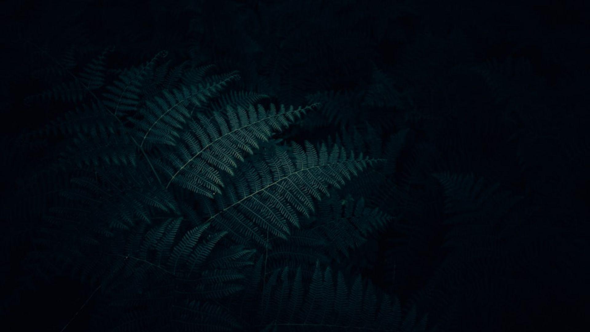 Dark For PC Wallpapers - Top Free Dark For PC Backgrounds - WallpaperAccess