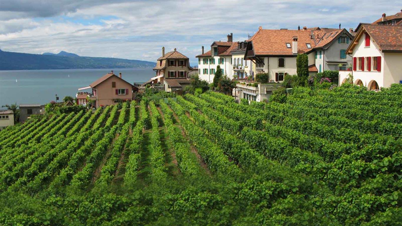 Assam Wallpapers - Top Free Assam Backgrounds - WallpaperAccess