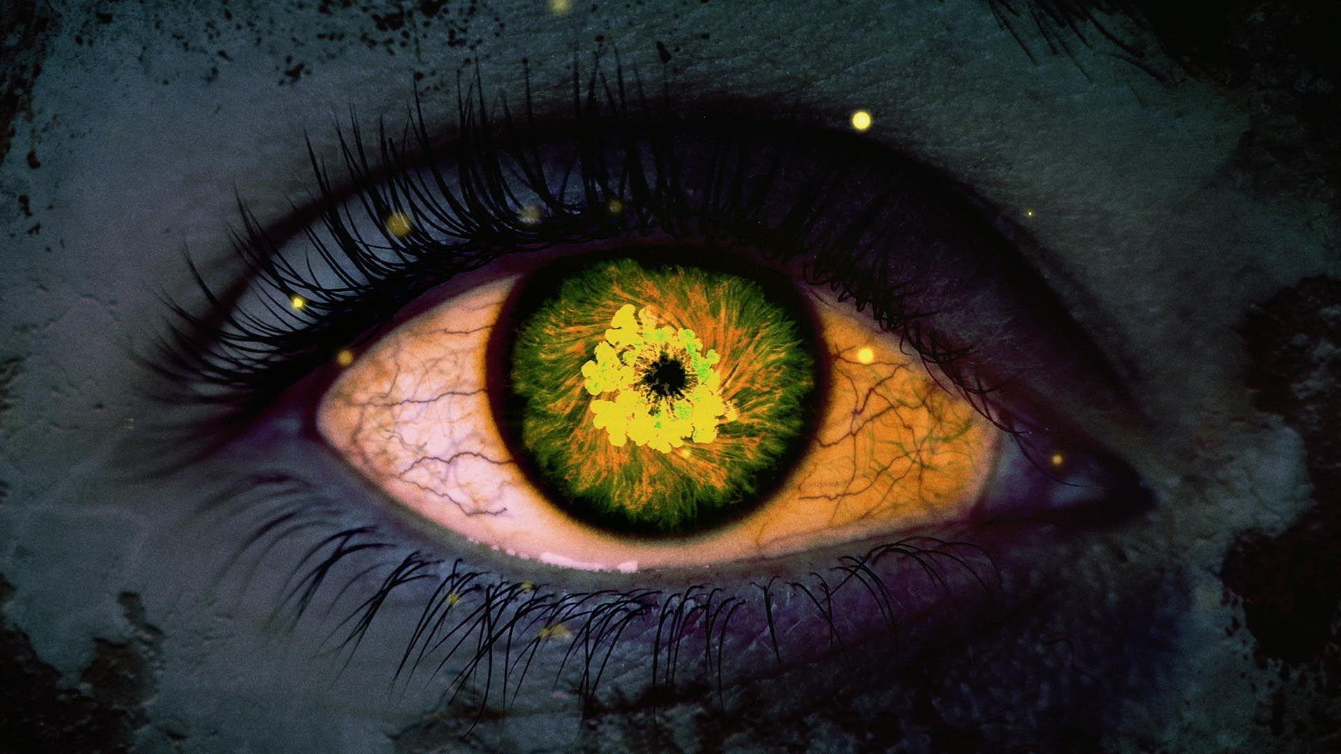 Z Nation Wallpapers - Top Free Z Nation Backgrounds - WallpaperAccess