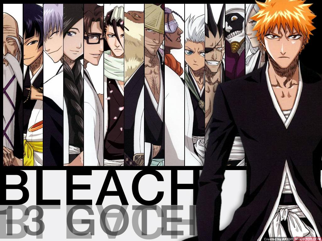 Gotei 13 Wallpapers - Top Free Gotei 13 Backgrounds - WallpaperAccess