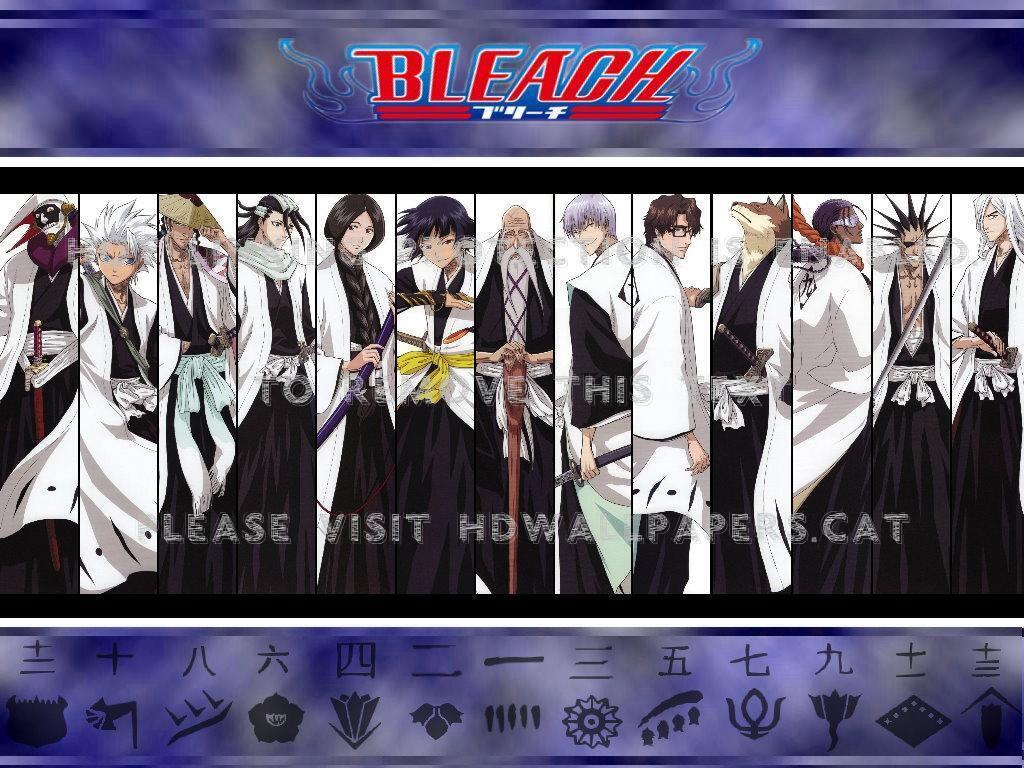 Gotei 13 Wallpapers - Top Free Gotei 13 Backgrounds - WallpaperAccess