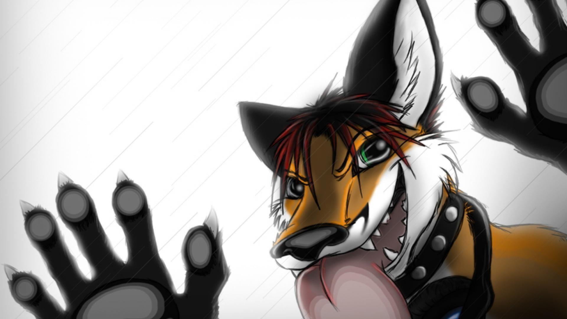 Cool Furry Wallpapers - Top Free Cool Furry Backgrounds - WallpaperAccess