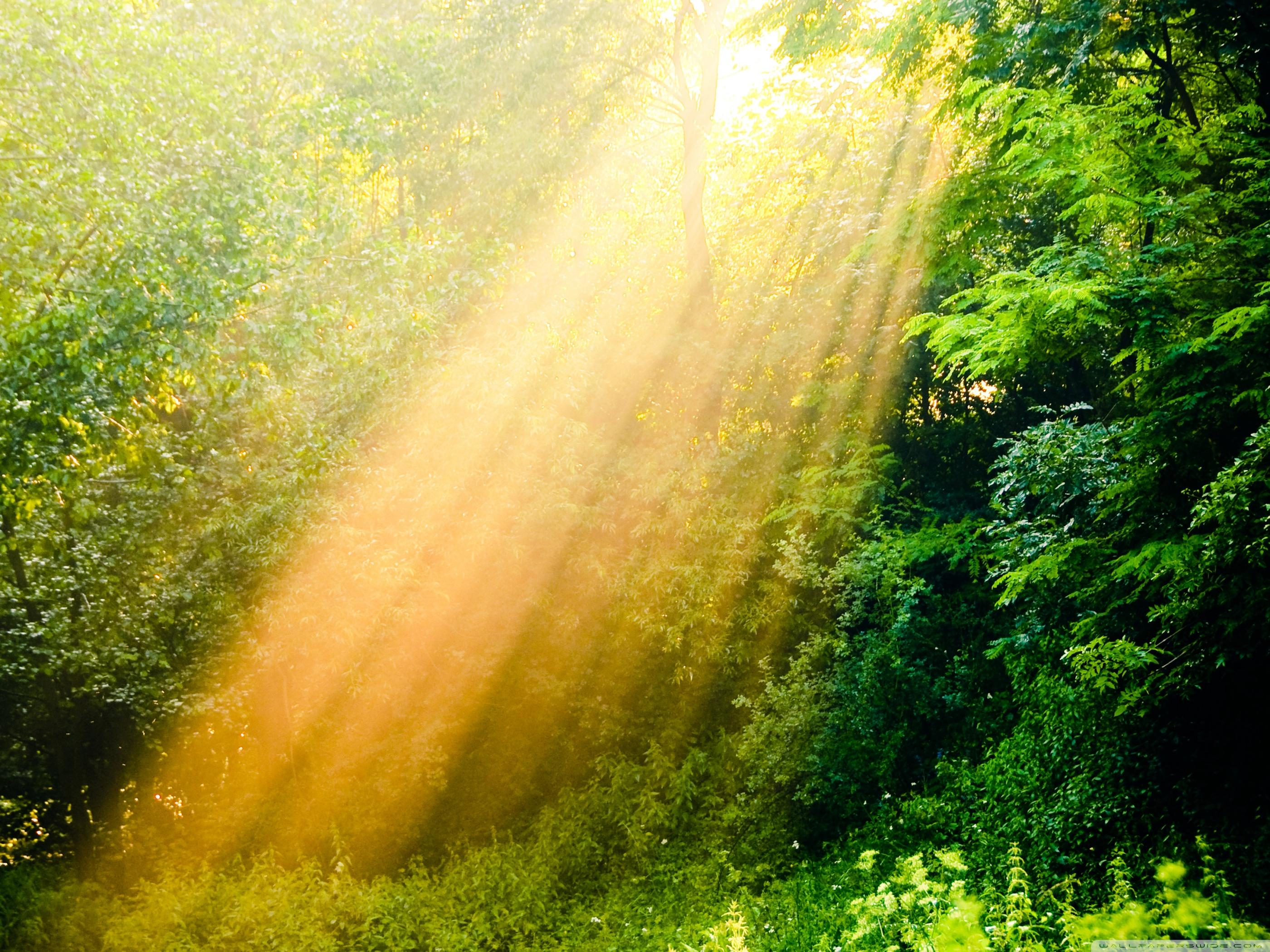 Light Rays Wallpapers - Top Free Light Rays Backgrounds - WallpaperAccess