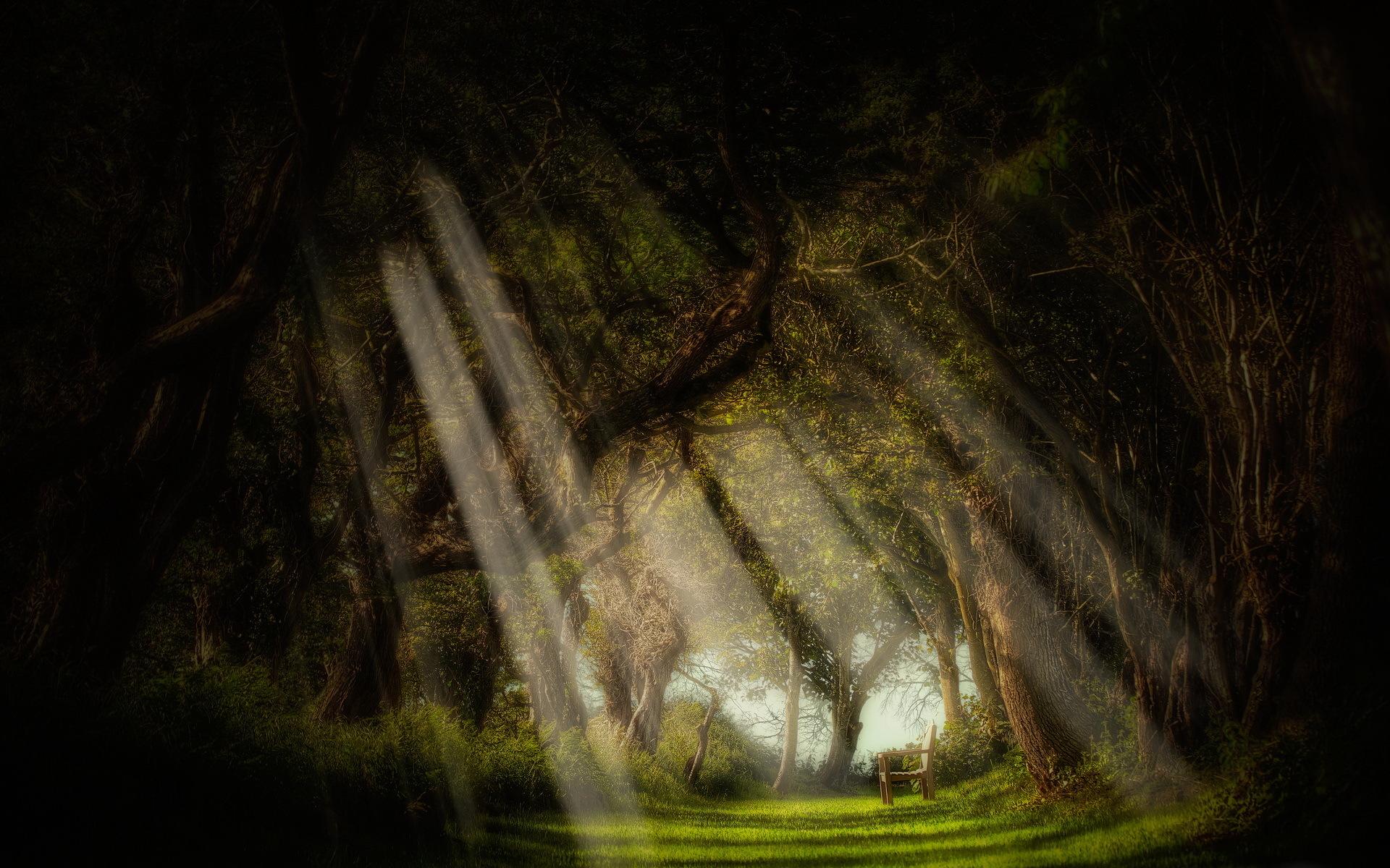 Light Rays Wallpapers - Top Free Light Rays Backgrounds - WallpaperAccess
