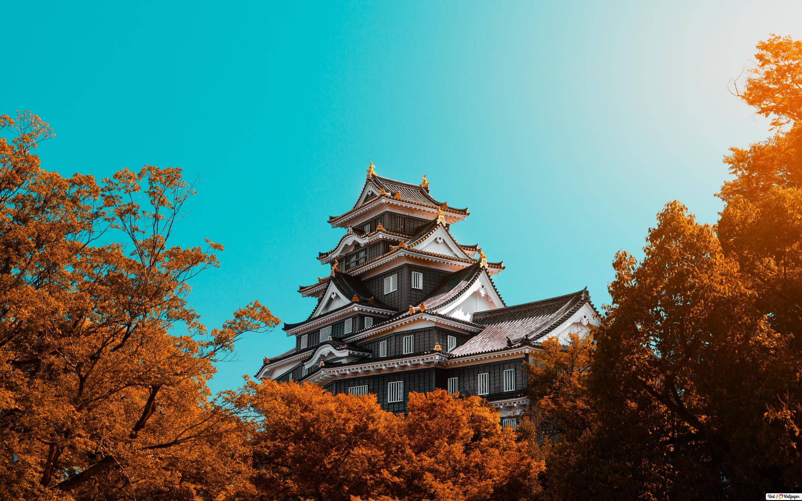 Japan 5k Wallpapers - Top Free Japan 5k Backgrounds - WallpaperAccess