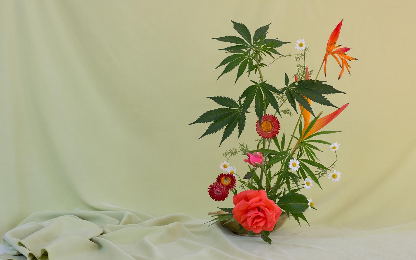 Stoner Aesthetic Wallpapers - Top Free Stoner Aesthetic Backgrounds ...