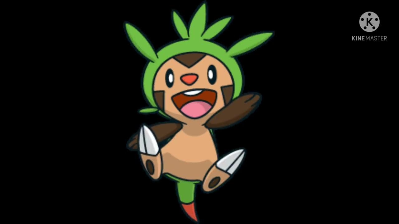 Chespin Wallpapers - Top Free Chespin Backgrounds - WallpaperAccess