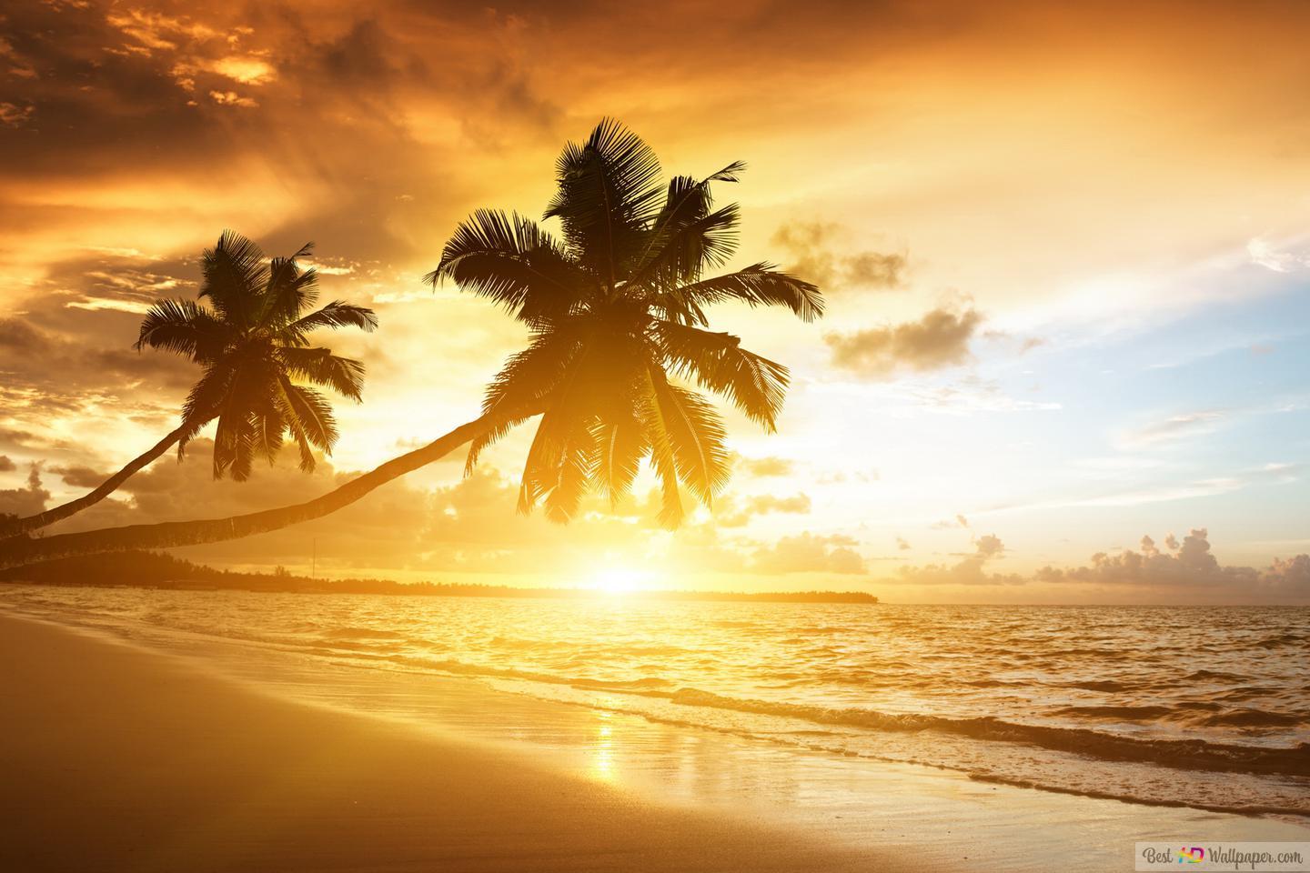 Amazing Ocean View Wallpapers - Top Free Amazing Ocean View Backgrounds ...