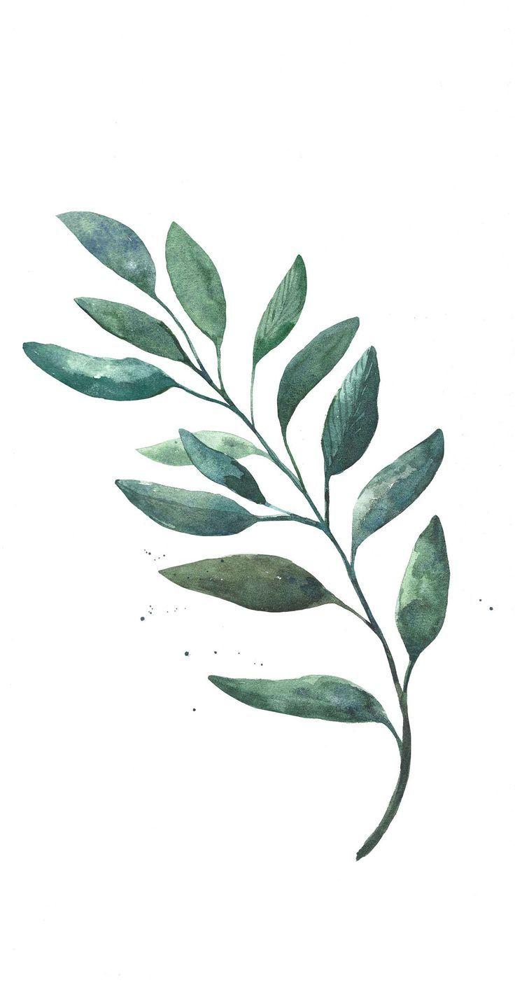 Watercolor Leaves Wallpapers - Top Free Watercolor Leaves Backgrounds ...