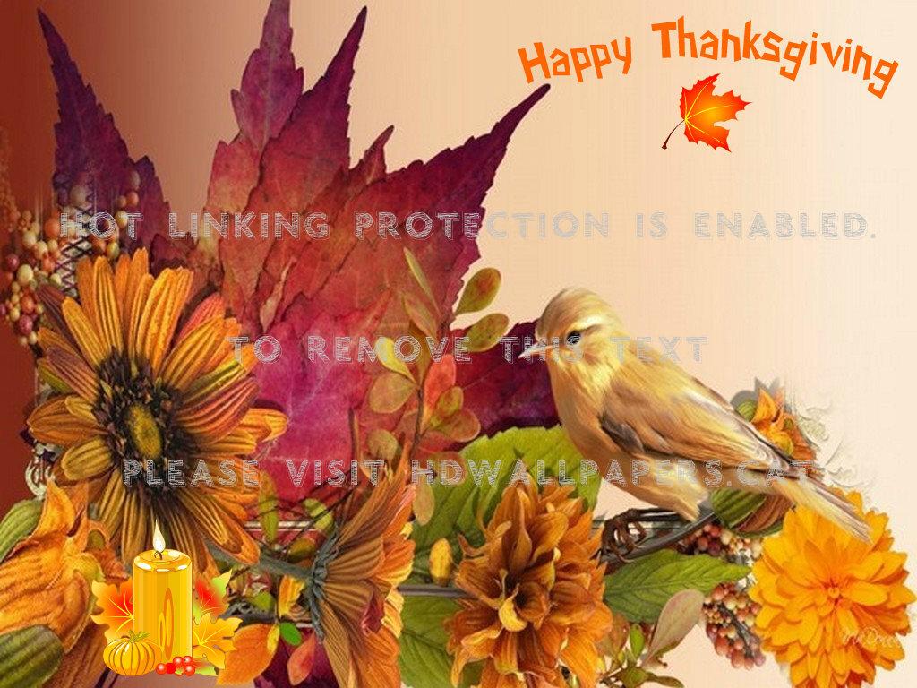 Thanksgiving Abstract Wallpapers - Top Free Thanksgiving Abstract ...