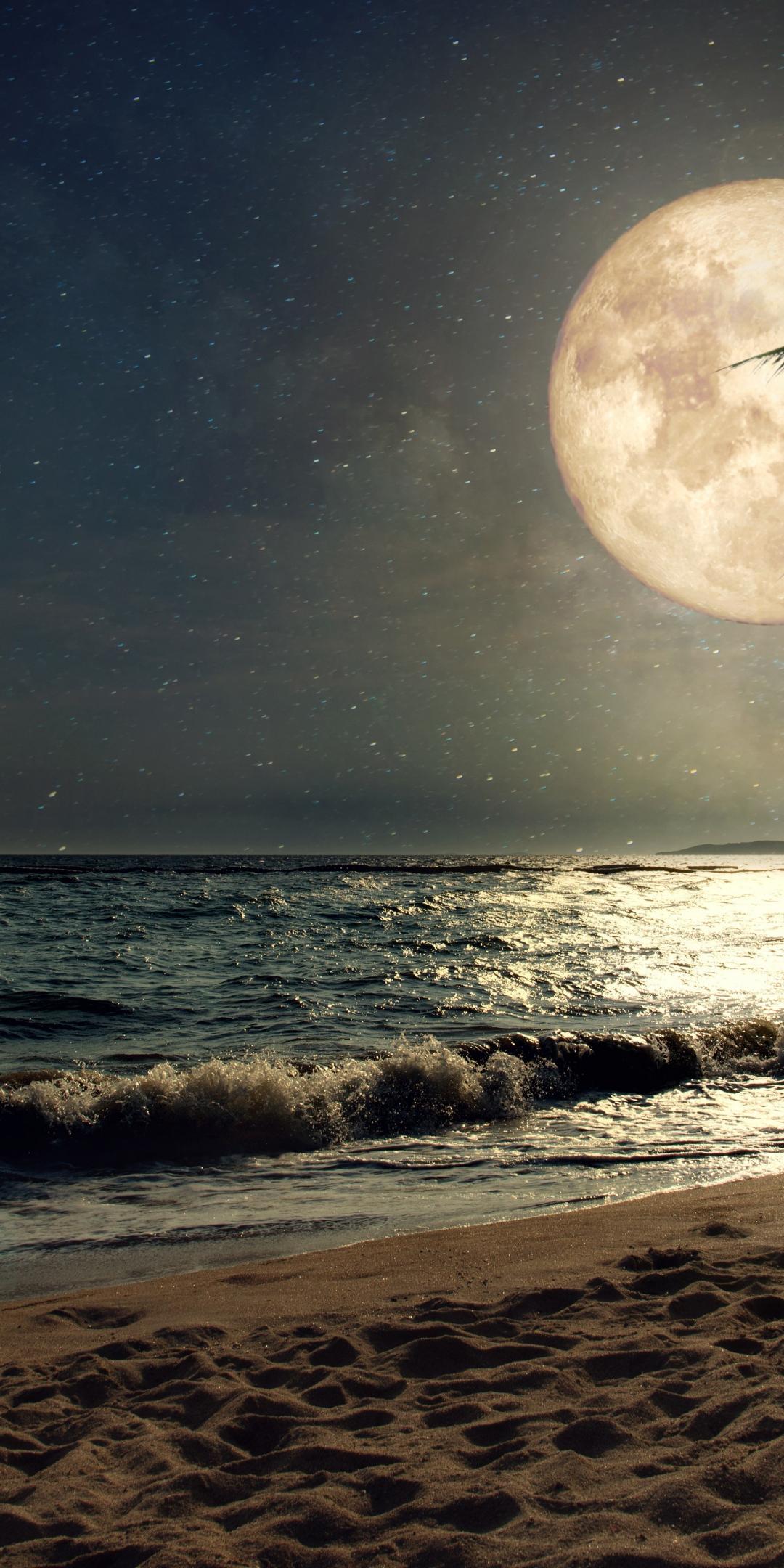 Beach Moon Wallpapers - Top Free Beach Moon Backgrounds - WallpaperAccess