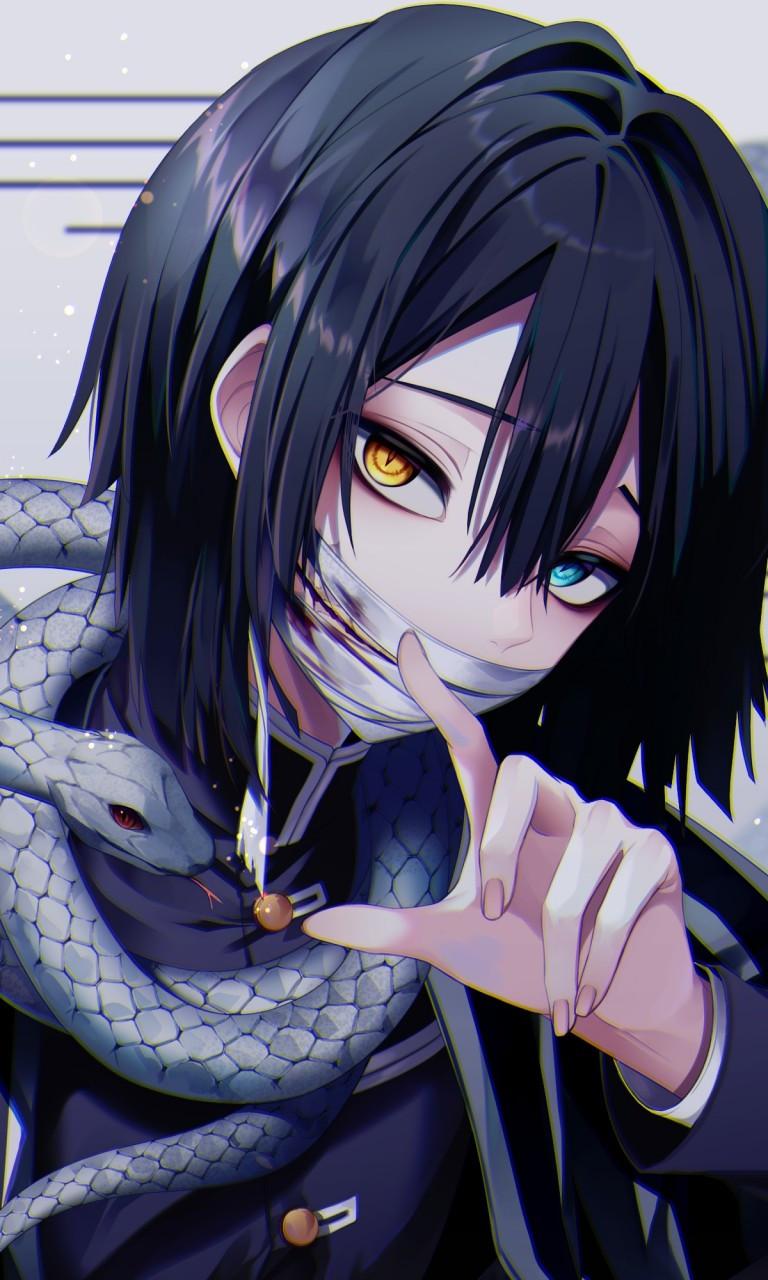 Snake Hashira Wallpapers - Top Free Snake Hashira Backgrounds ...