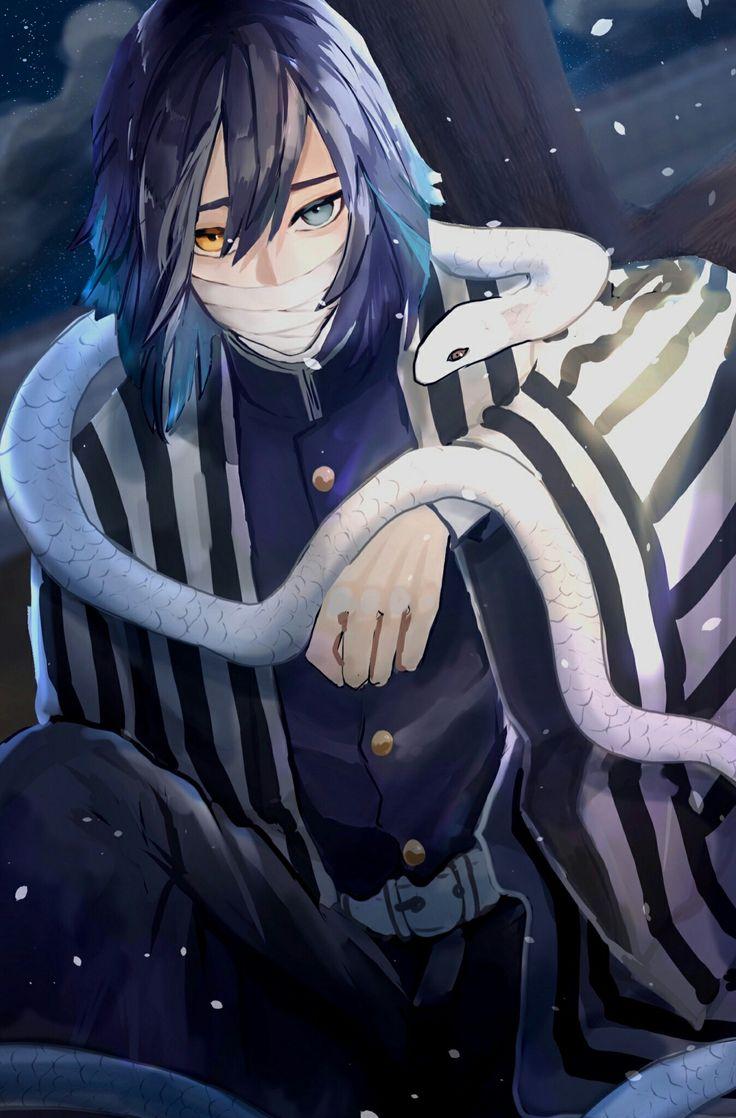 Snake Hashira Wallpapers - Top Free Snake Hashira Backgrounds ...