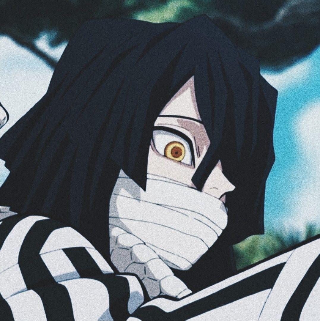 Snake Hashira Wallpapers - Top Free Snake Hashira Backgrounds ...