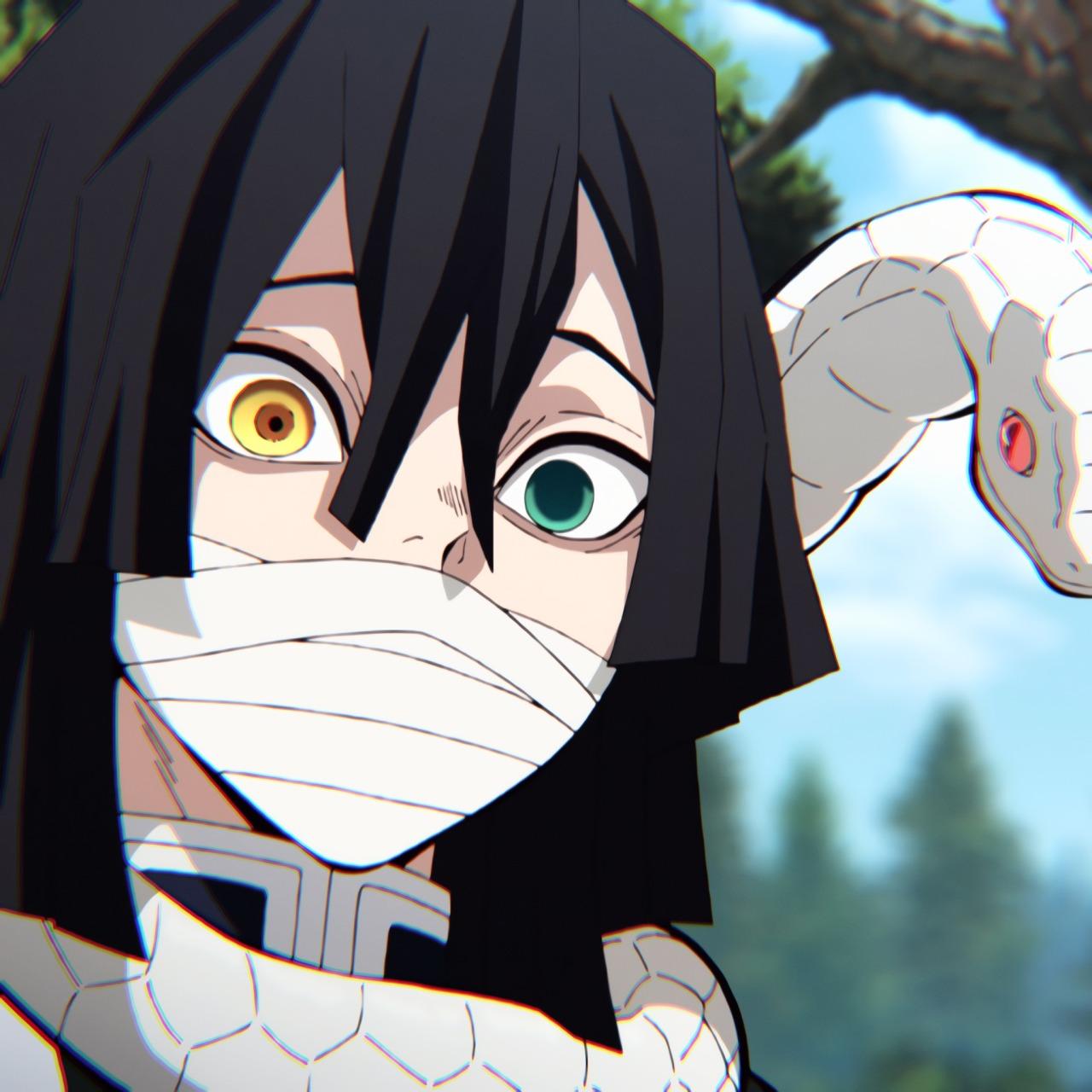 Snake Hashira Wallpapers - Top Free Snake Hashira Backgrounds ...