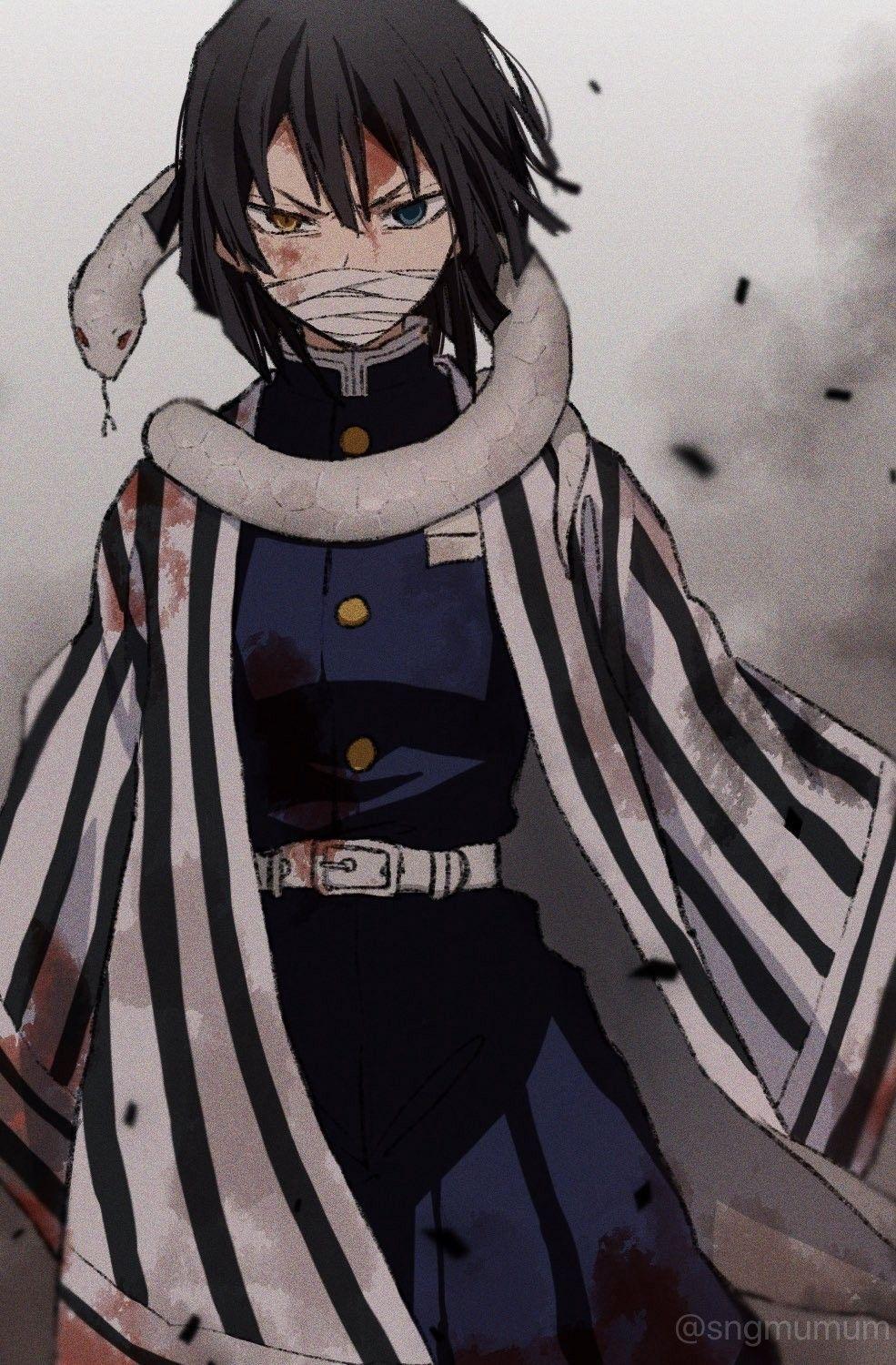 Snake Hashira Wallpapers - Top Free Snake Hashira Backgrounds ...