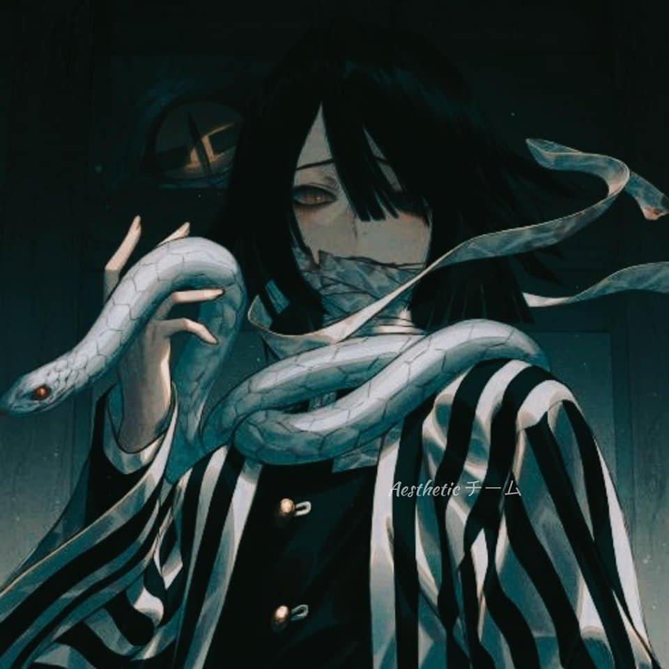 Snake Hashira Wallpapers - Top Free Snake Hashira Backgrounds ...