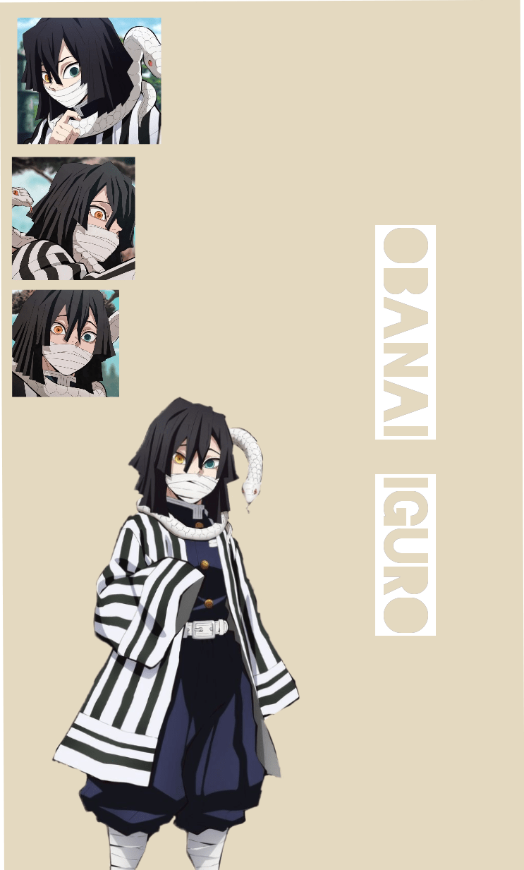 Snake Hashira Wallpapers - Top Free Snake Hashira Backgrounds ...