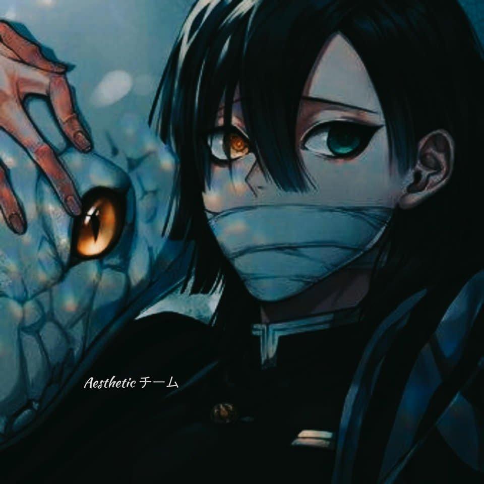 Snake Hashira Wallpapers - Top Free Snake Hashira Backgrounds ...