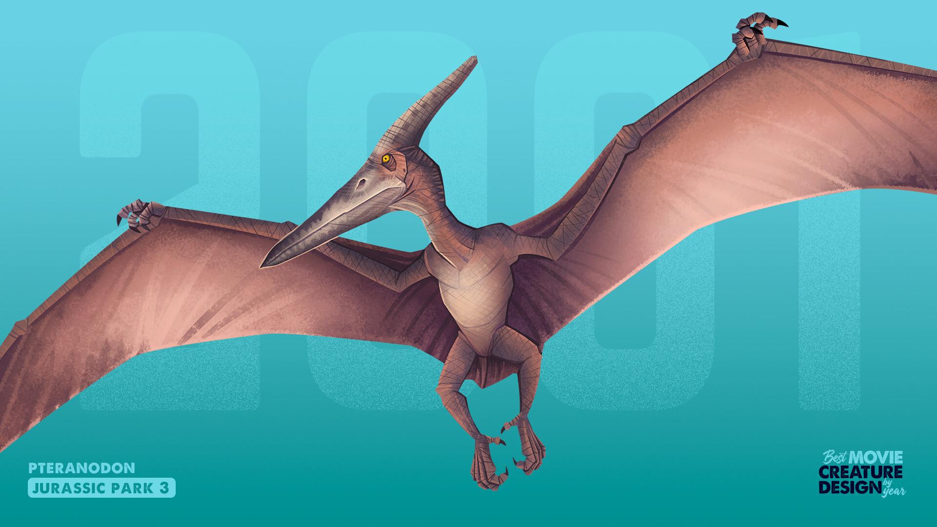 Pteranodon Wallpapers - Top Free Pteranodon Backgrounds - WallpaperAccess