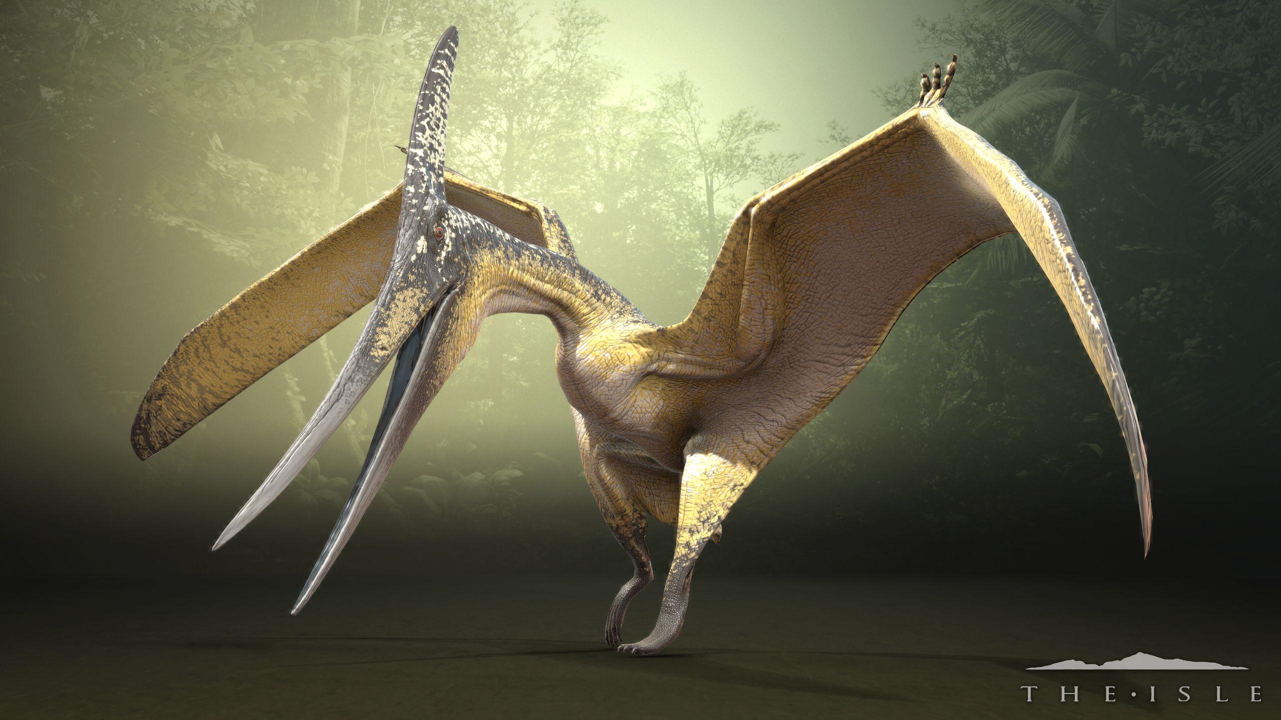 Pteranodon Wallpapers - Top Free Pteranodon Backgrounds - WallpaperAccess