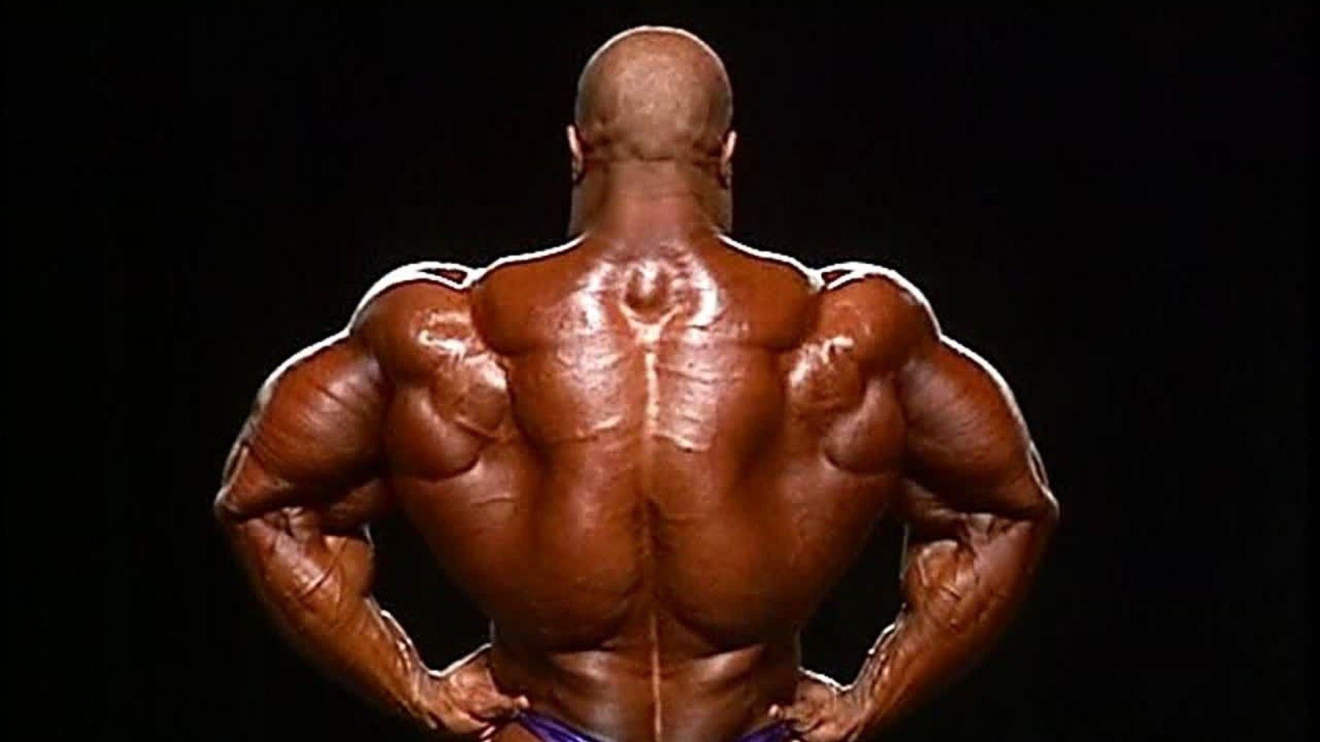 Body Building HD Wallpapers - Top Free Body Building HD Backgrounds ...