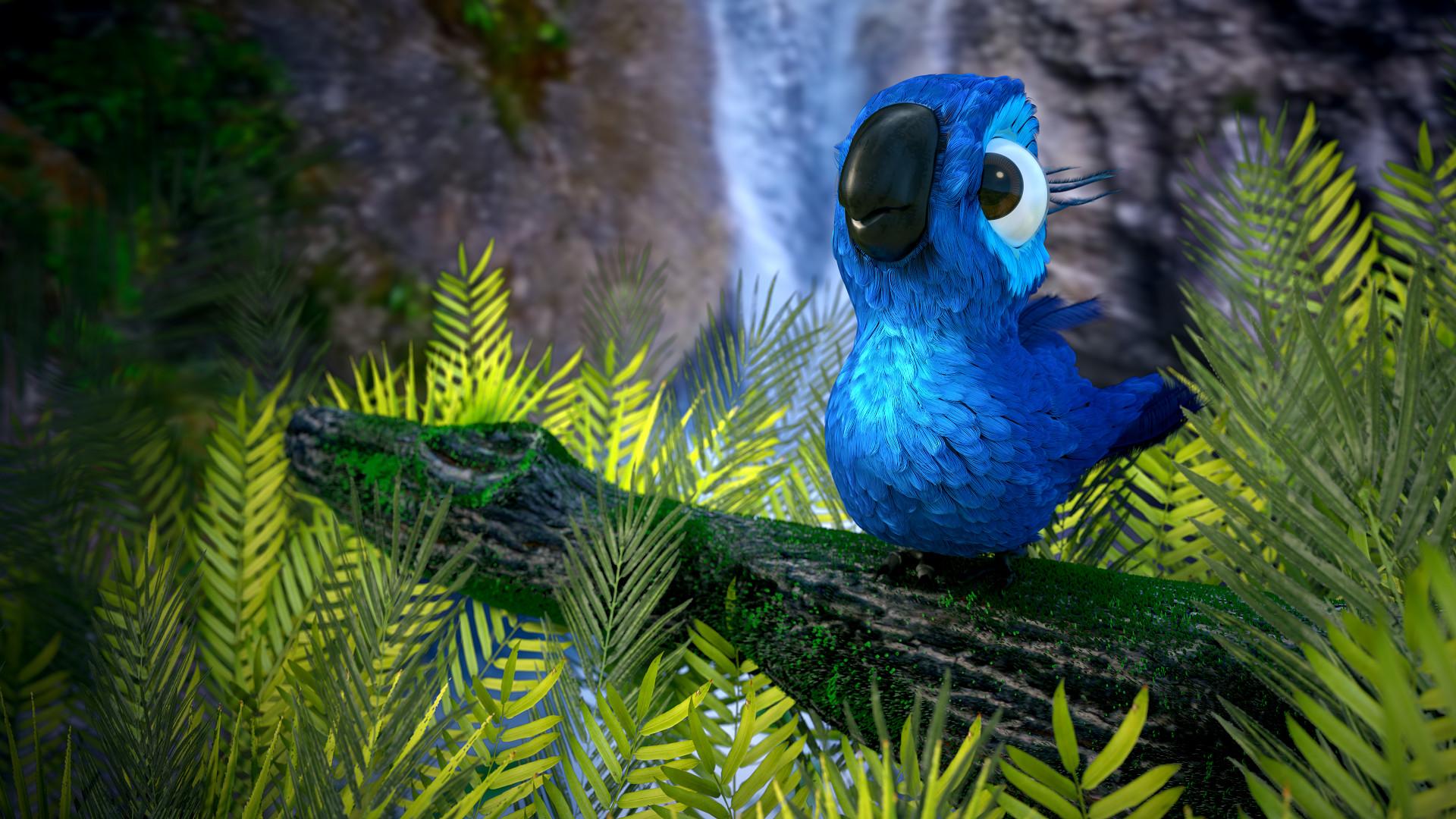 Rio Birds Wallpapers - Top Free Rio Birds Backgrounds - WallpaperAccess