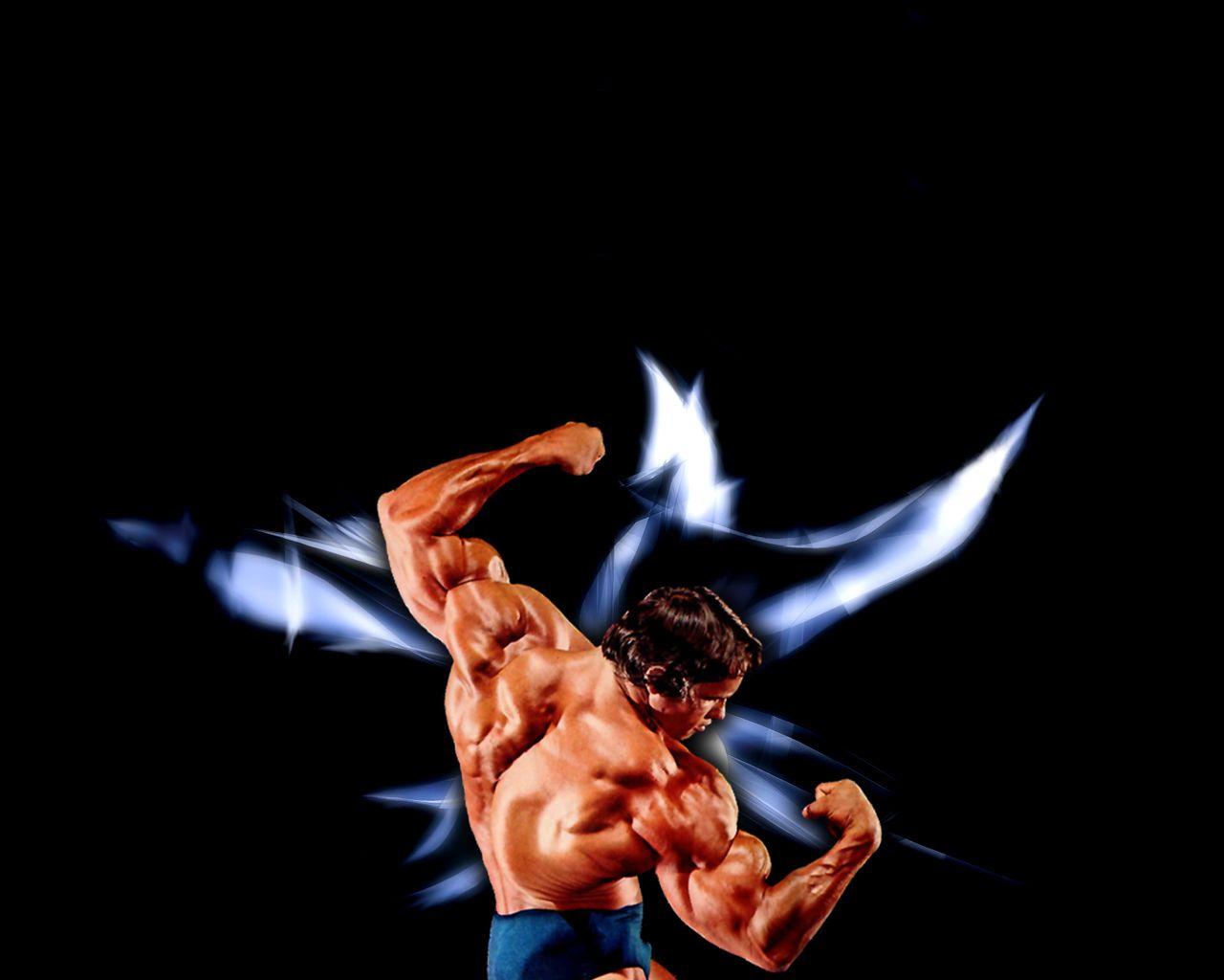 Body Building HD Wallpapers - Top Free Body Building HD Backgrounds ...