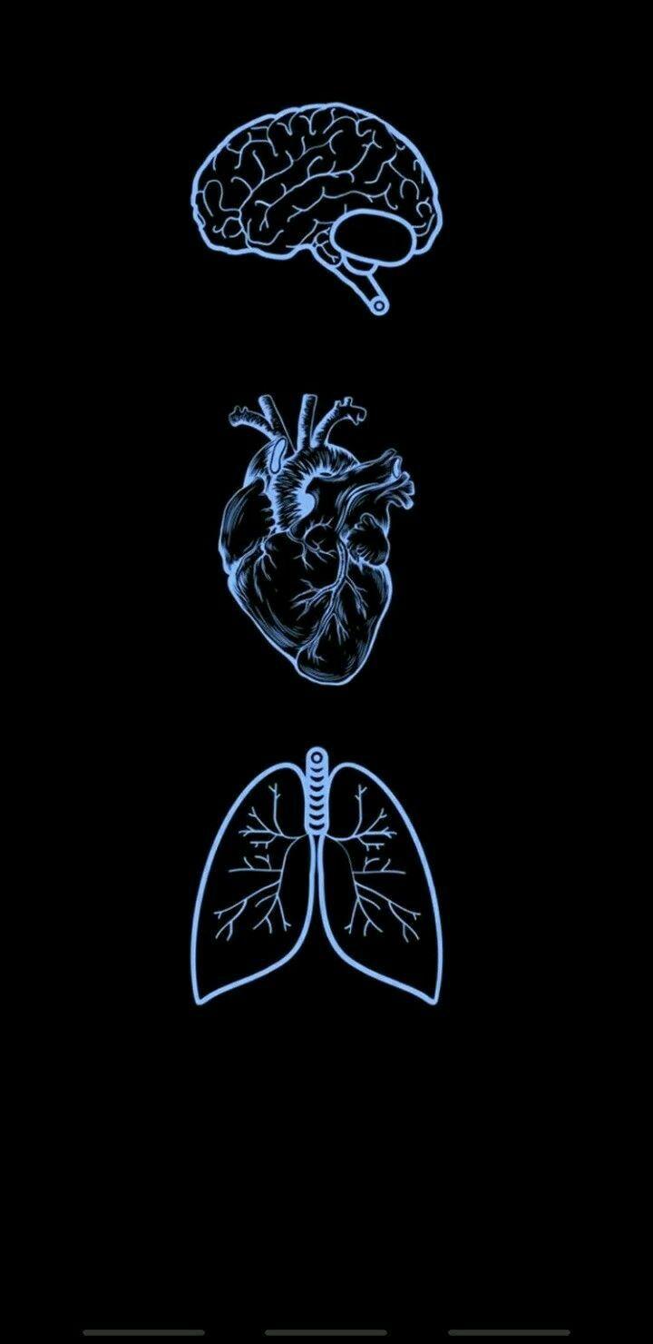 Dark Medical Wallpapers - Top Free Dark Medical Backgrounds ...