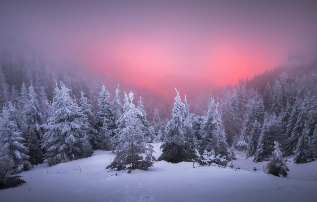 Winter Sunset Computer Wallpapers - Top Free Winter Sunset Computer ...
