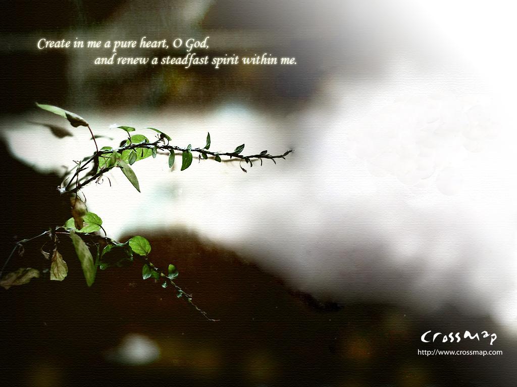 Pure Heart Wallpapers - Top Free Pure Heart Backgrounds - WallpaperAccess