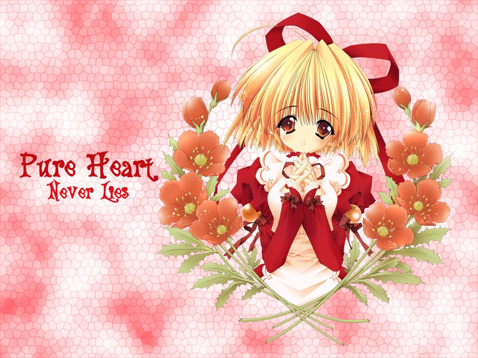 Pure Heart Wallpapers - Top Free Pure Heart Backgrounds - WallpaperAccess