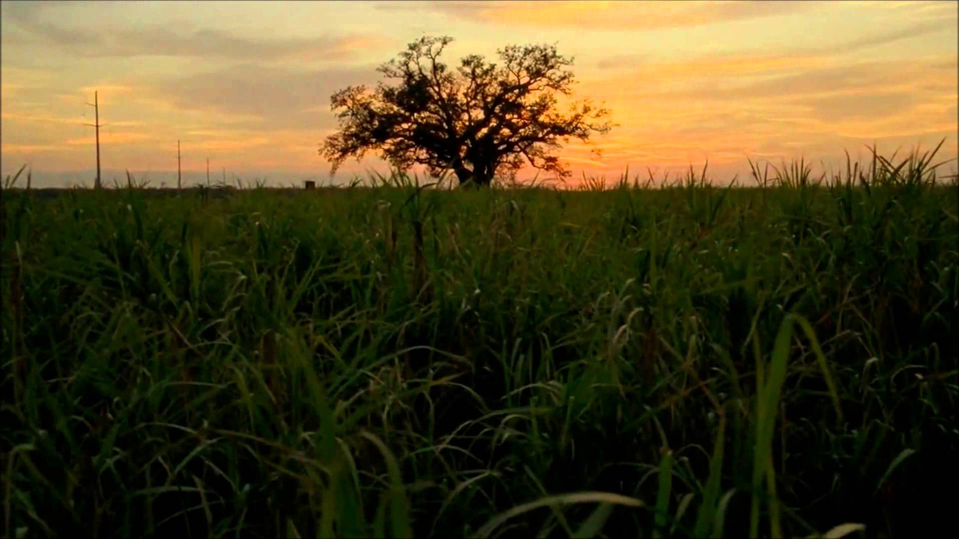True Detective Season 1 Wallpapers - Top Free True Detective Season 1 ...