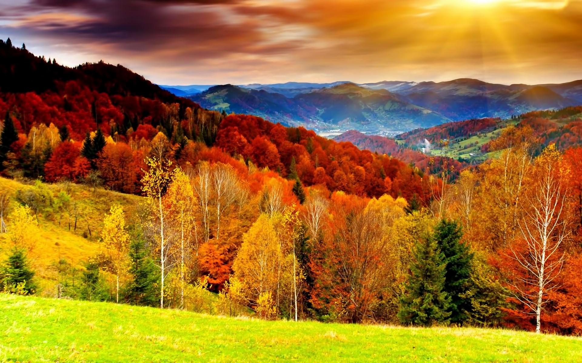 1920X1200 Autumn Wallpapers - Top Free 1920X1200 Autumn Backgrounds ...