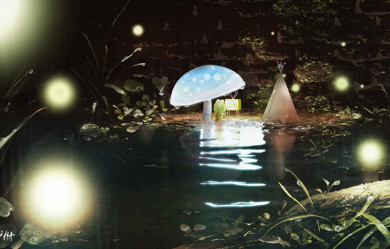 Mushroom Frog Wallpapers - Top Free Mushroom Frog Backgrounds ...