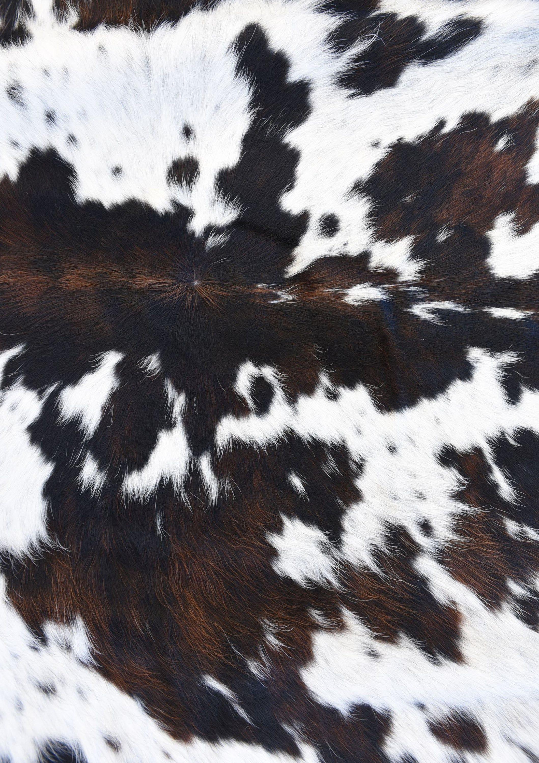 Cow Hide Wallpapers - Top Free Cow Hide Backgrounds - WallpaperAccess