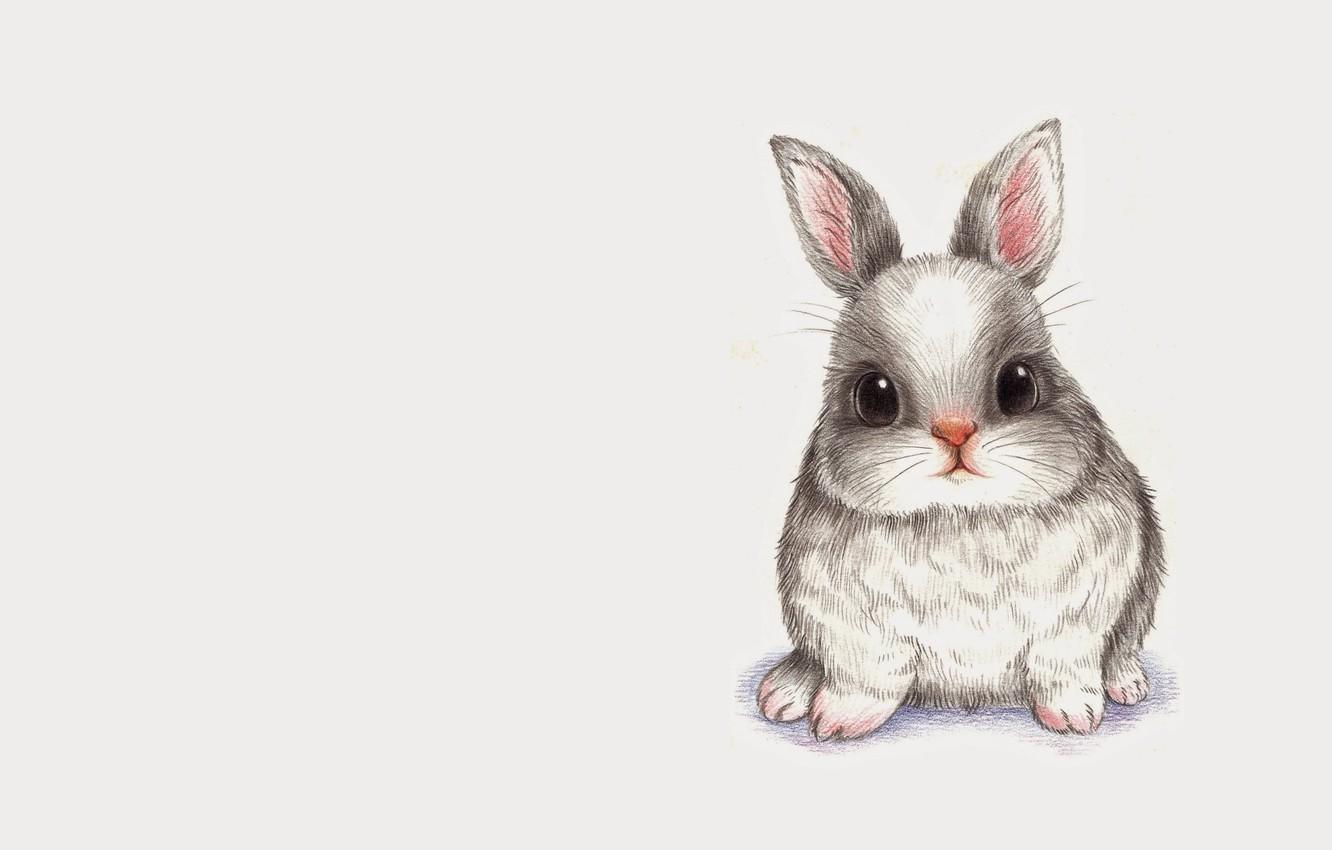 Cute Bunny Art Wallpapers - Top Free Cute Bunny Art Backgrounds ...