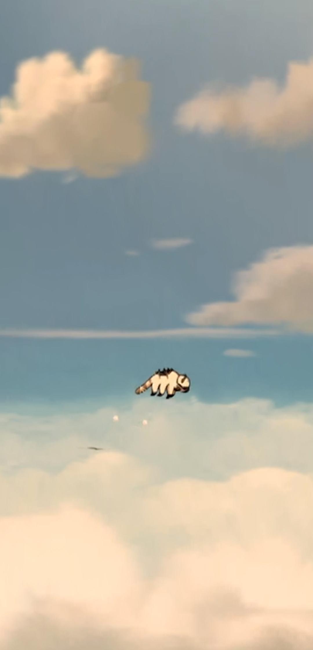 Avatar Appa Wallpapers - Top Free Avatar Appa Backgrounds - WallpaperAccess