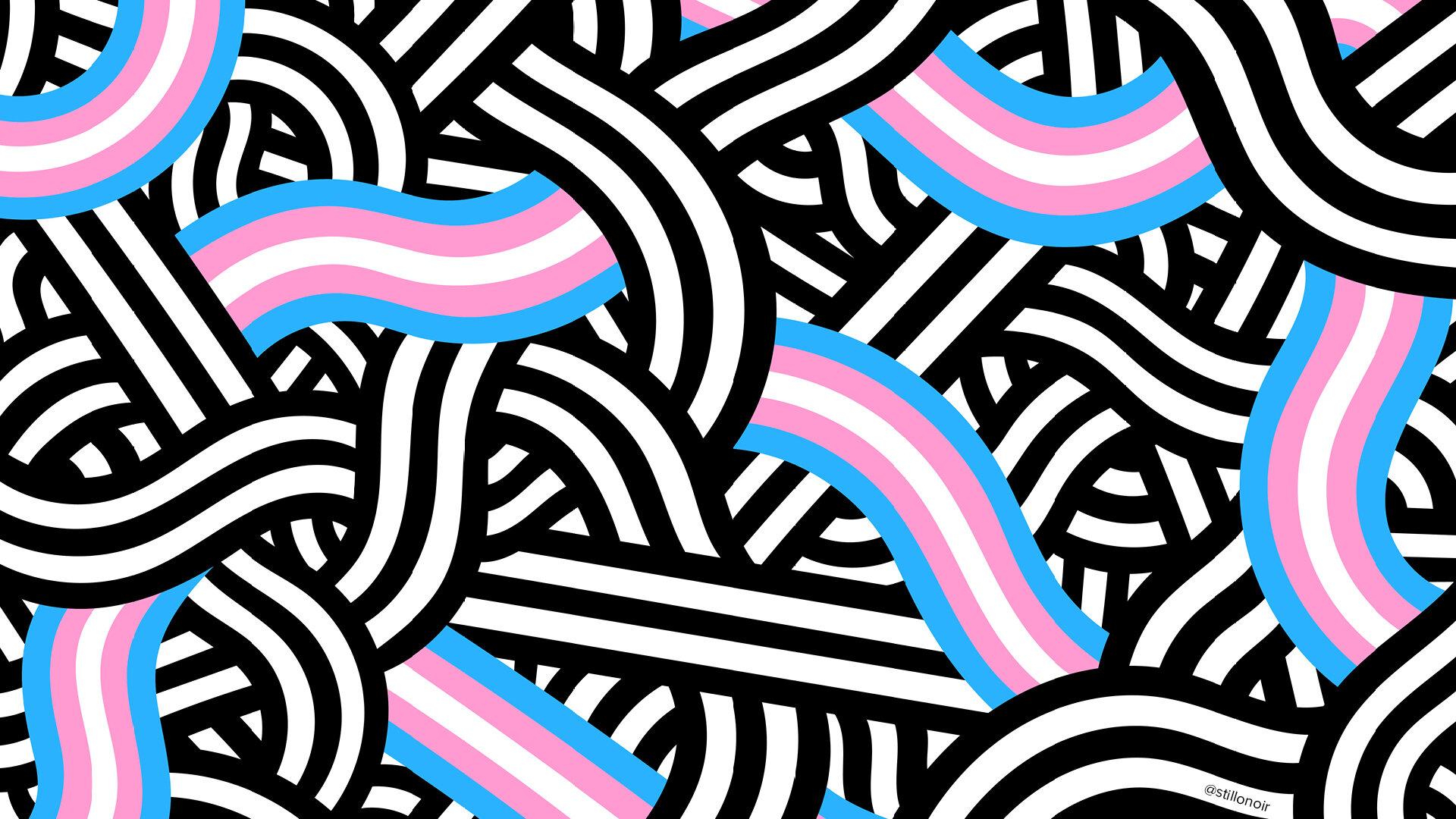 Transgender Aesthetic Wallpapers - Top Free Transgender Aesthetic ...