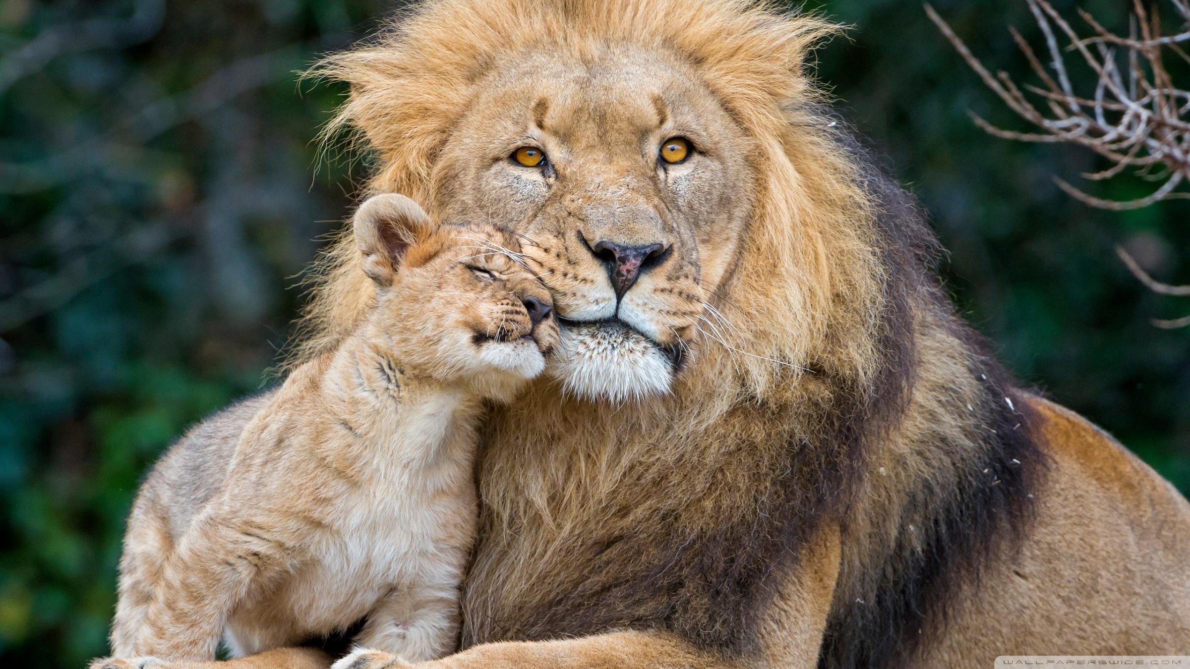 Family 4K Wallpapers - Top Free Family 4K Backgrounds - WallpaperAccess