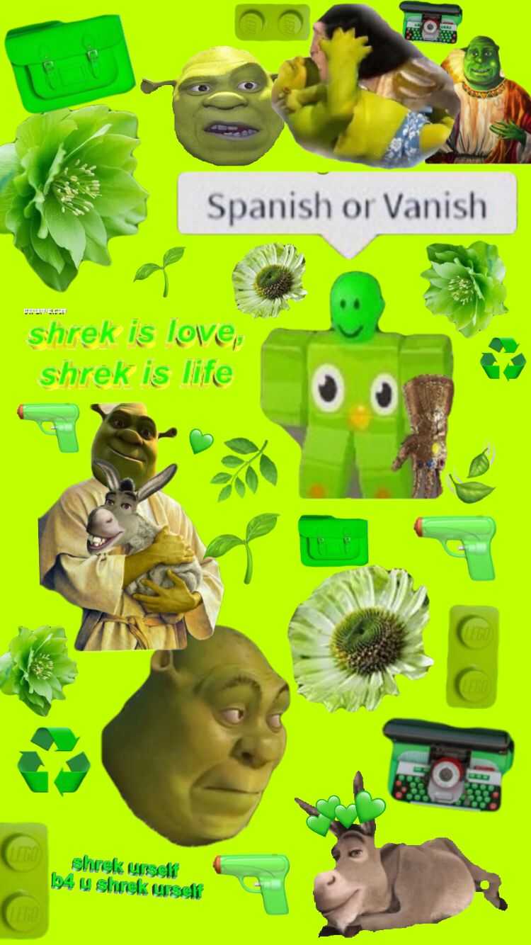 Aesthetic Shrek Wallpapers - Top Free Aesthetic Shrek Backgrounds ...