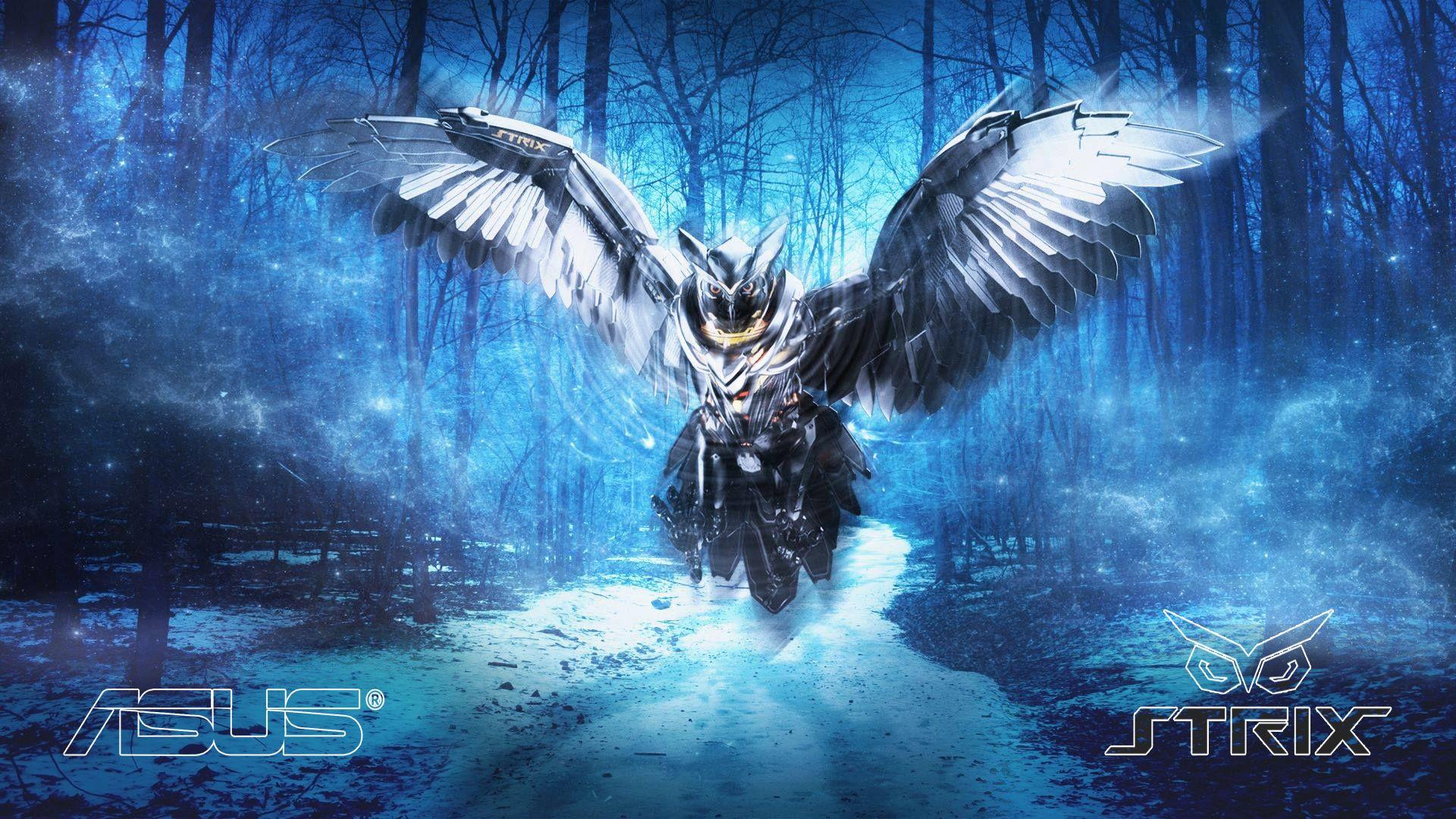 Asus Strix 4K Wallpapers - Top Free Asus Strix 4K Backgrounds ...