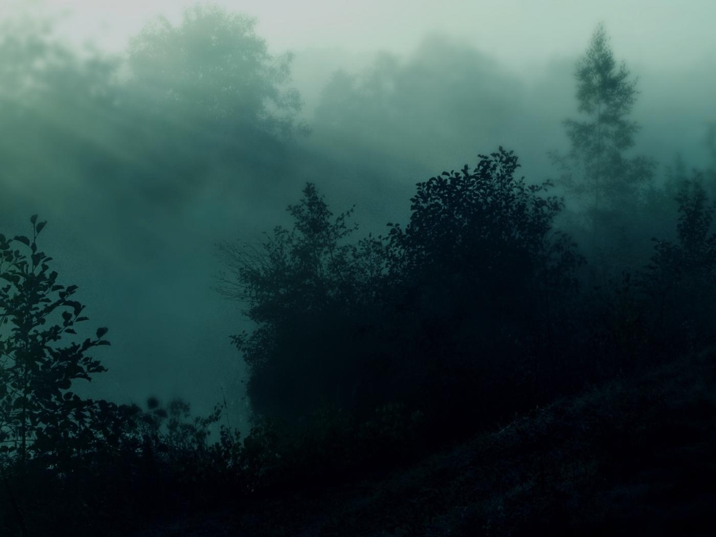 Foggy Aesthetic Wallpapers - Top Free Foggy Aesthetic Backgrounds ...