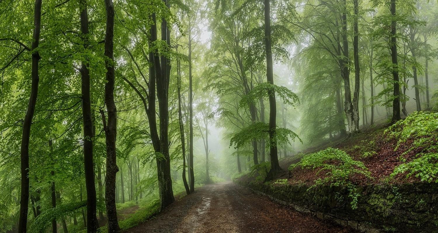 Spring Street Wallpapers - Top Free Spring Street Backgrounds ...
